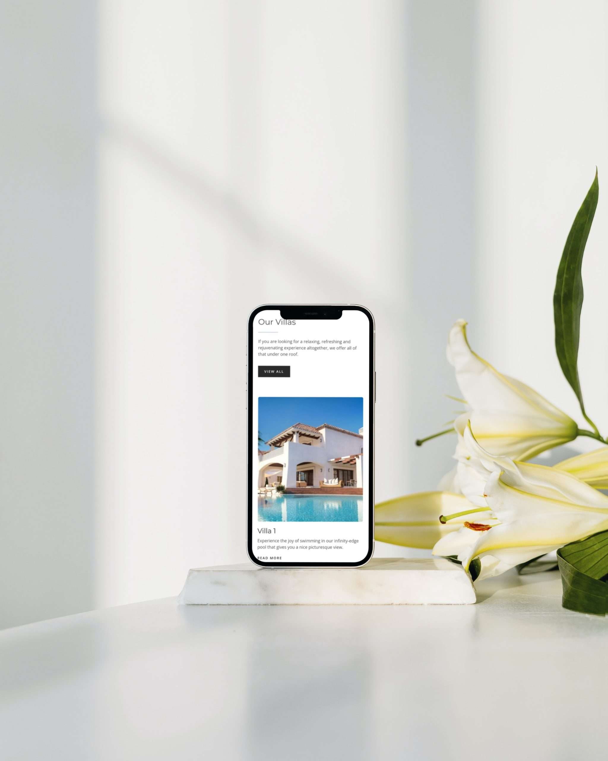 Services - Studio Mona